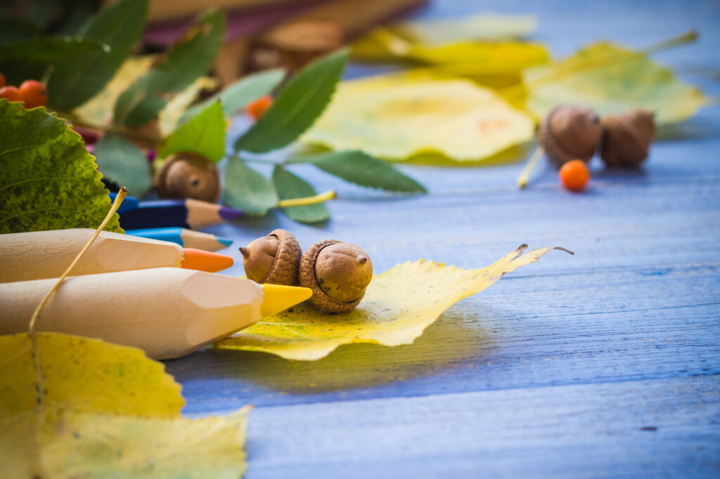 Miss Shields 2cuteclassroom